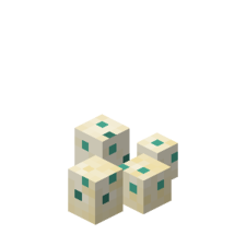 Turtle Egg – Official Minecraft Wiki