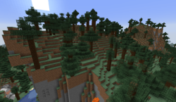 Taiga – Official Minecraft Wiki