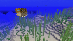 Pufferfish – Official Minecraft Wiki