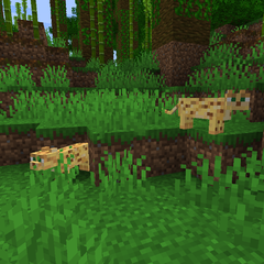 File:Ocelot1.png – Official Minecraft Wiki