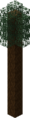 Tree – Official Minecraft Wiki