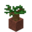 Sapling – Official Minecraft Wiki