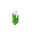 Flower – Official Minecraft Wiki
