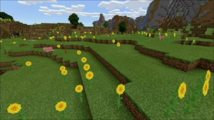 Seed picker – Official Minecraft Wiki