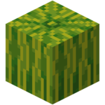 Melon – Official Minecraft Wiki