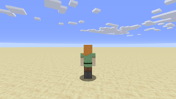 Third-person view – Official Minecraft Wiki