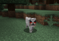 Wolf – Official Minecraft Wiki