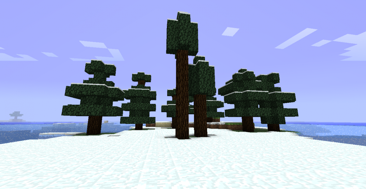 File:Bunch of pine trees.png – Official Minecraft Wiki