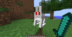 Rabbit – Official Minecraft Wiki