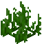 Seagrass – Official Minecraft Wiki