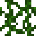 덩굴 - Minecraft 위키