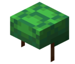 Hełm – Oficjalna Minecraft Wiki Polska