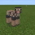 Owca – Oficjalna Minecraft Wiki Polska