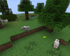Wilk – Oficjalna Minecraft Wiki Polska