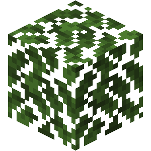 File:Birch Forest Oak Leaves.png - Minecraft Wiki，最详细的官方我的世界百科