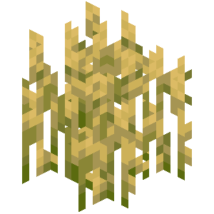 檔案:Wheat Age 7 JE4 BE2.png - Minecraft Wiki，最詳細的官方Minecraft百科