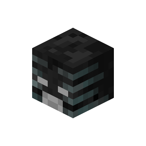 File:Wither Skull.png - Minecraft Wiki，最详细的官方我的世界百科