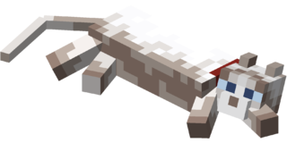 File:Lying down Ragdoll Cat with Red Collar.png - Minecraft Wiki，最详细的官方 ...