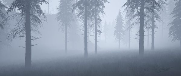 Game Events - Official Mist Survival Wiki