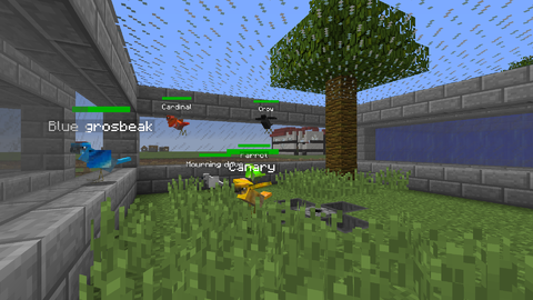 Bird - Official Mo' Creatures Wiki