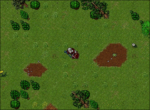 Encase - Necronia Wiki