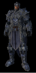 Neverember Guard (previous) - Official Neverwinter Wiki