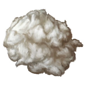 Cotton Wool - Official Pathologic Wiki
