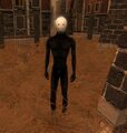 Tragedian - Official Pathologic Wiki
