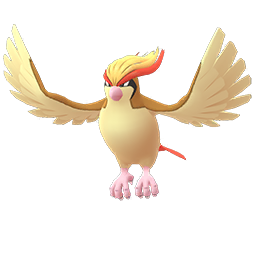 Pidgeot - Pokémon GO Wiki