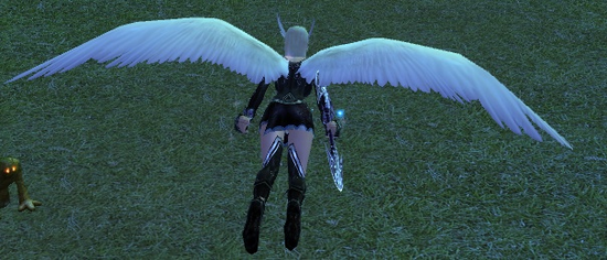 Winged Elf Angel