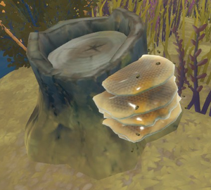 Natural Beehive - Official Raft Wiki