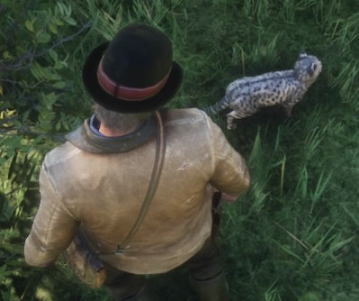 Red Dead Redemption 2 Animal Compendium