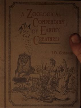 Red Dead Redemption 2 Animal Compendium