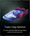 Indigo Splashtail - Sea of Thieves Wiki