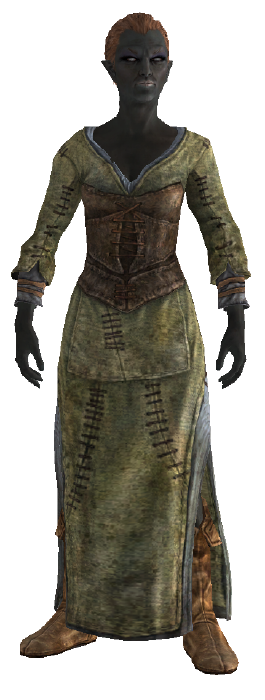 Avrusa Sarethi – Skyrim Wiki