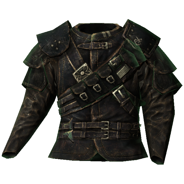 Guild Master's Armor - Skyrim Wiki