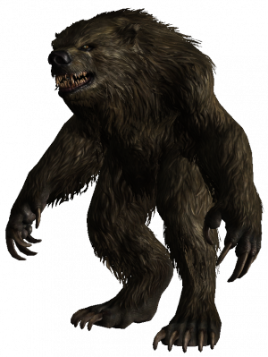 Werebear - Skyrim Wiki