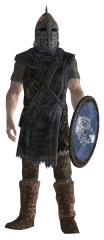 Guard - Skyrim Wiki