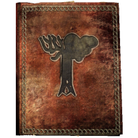 Spell Tome: Telekinesis - Skyrim Wiki