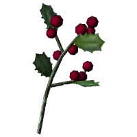 Snowberries - Skyrim Wiki