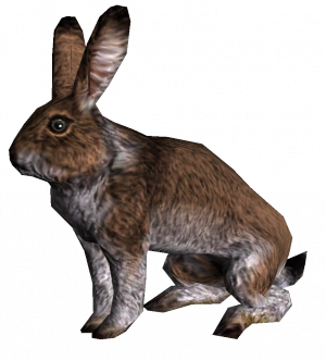Rabbit - Skyrim Wiki