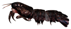 Crawler - Official Barotrauma Wiki
