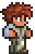 Character - The Official Terraria Wiki