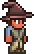 Wizard Hat - The Official Terraria Wiki