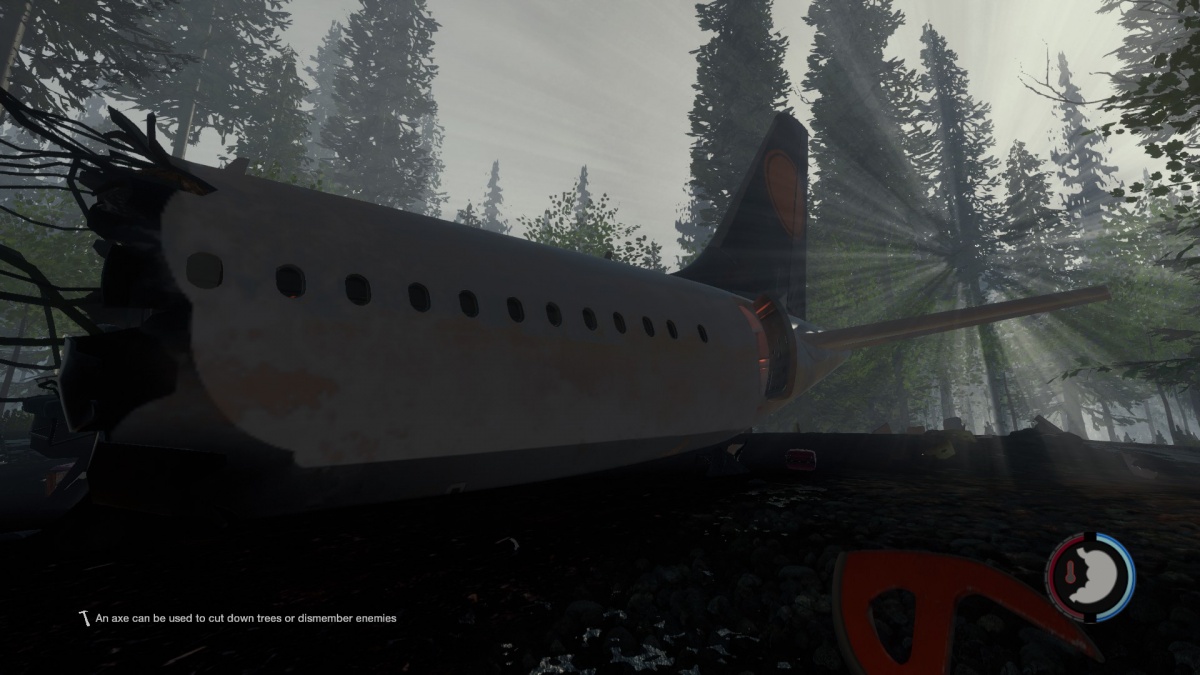 Flugzeug – Offizielles deutsches The Forest Wiki