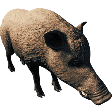 Boar - Official The Forest Wiki