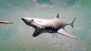 Shark - Official The Forest Wiki
