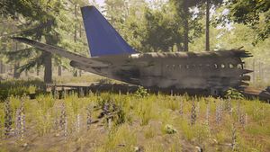 The Plane - Official The Forest Wiki