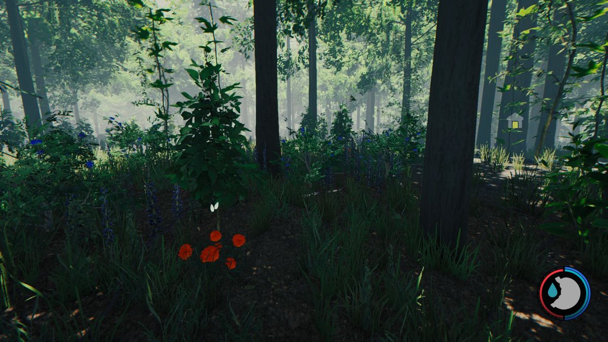 Flora - Official The Forest Wiki