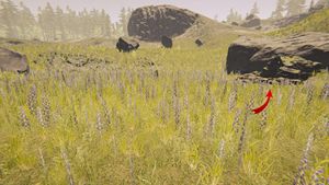 Cave 1 - Dead Cave - Official The Forest Wiki